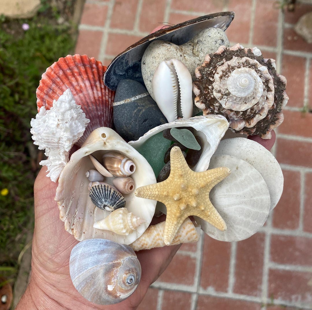 A Large Scoop From the Beach - Sea Glass, Shells, Wishing Stone, Heart ...