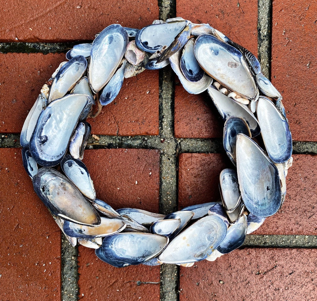 Mussel Shell Wreath Small Shells Added in the Nook and - Etsy