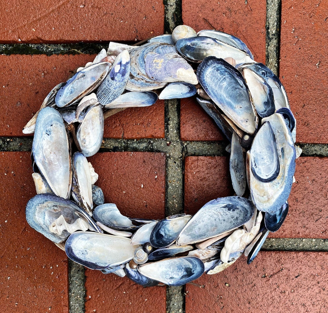 Mussel Shell Wreath, Small Shells Added in the Nook and Crannys - Very ...