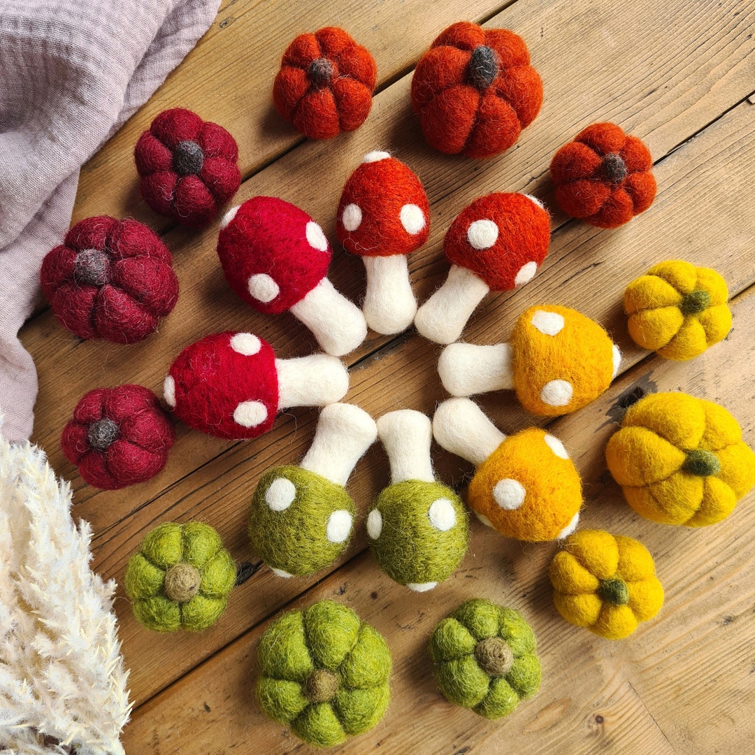 Felt Pumpkins and Toadstools - Matching Colours - Sold Individually ...