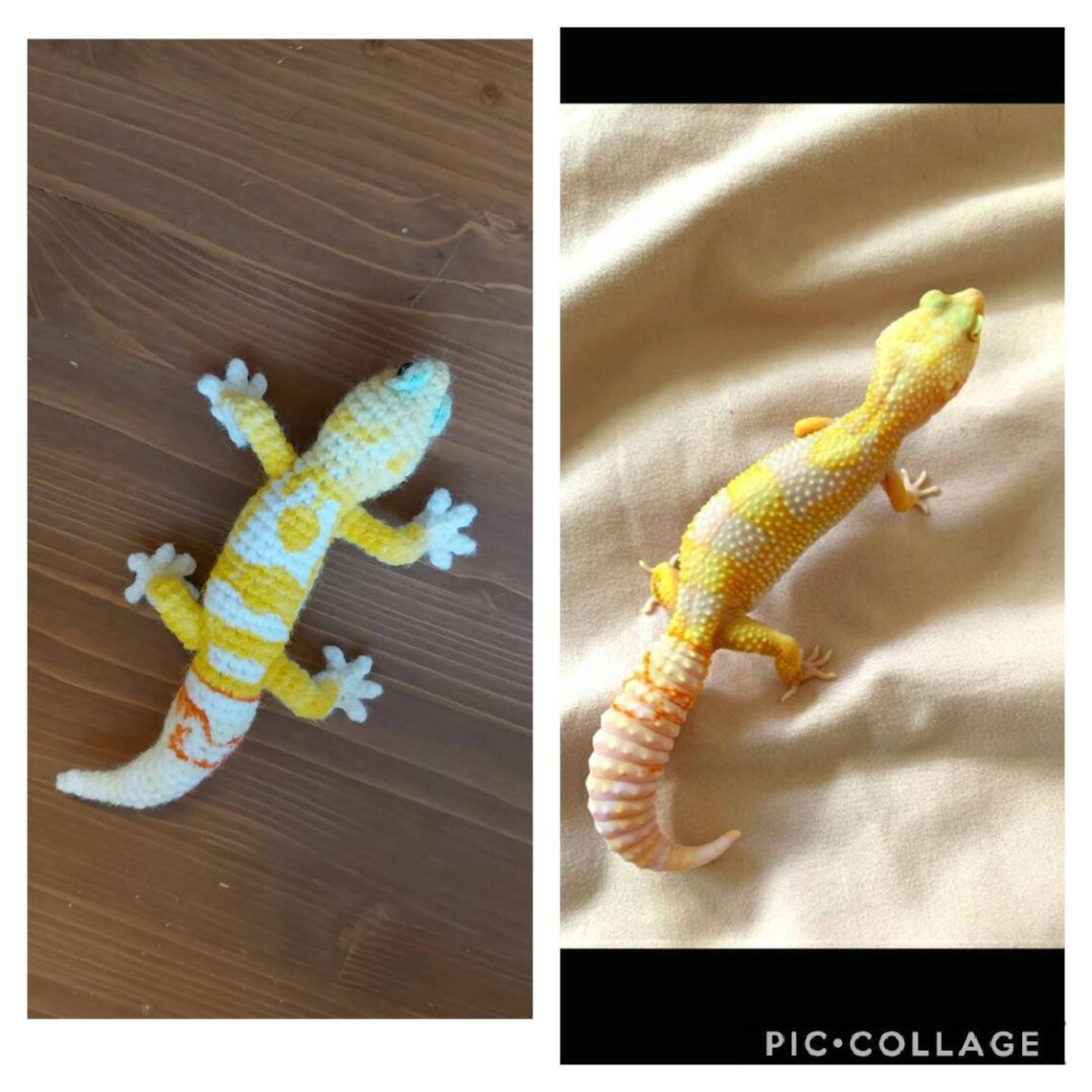 Plush Leopard Gecko made to order | Etsy