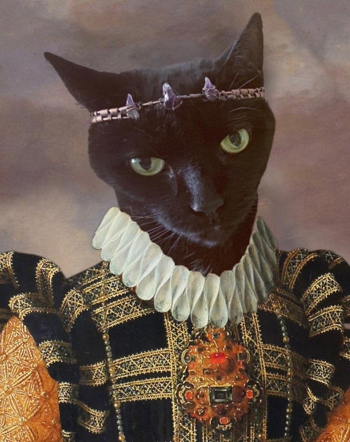 Custom Crystal Crown for Cat - Etsy