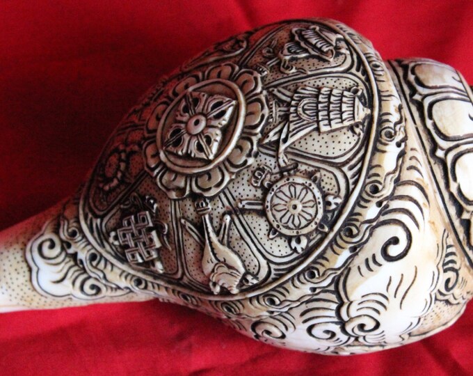 Shell Asthamangal Sankha/ Conch Carved Handmade in Nepal - Etsy