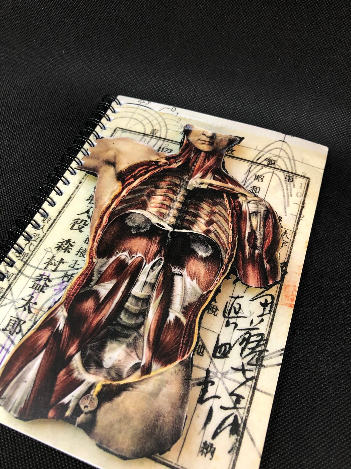Human Anatomy Spiral Bound Notebook Line or Graph Journal | Etsy