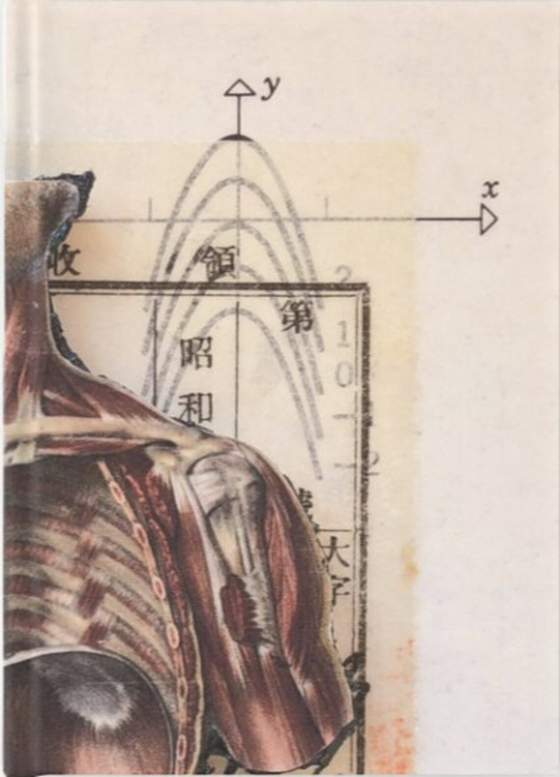 Vintage Anatomy Calculus Textbook Mathematics Art Hard - Etsy