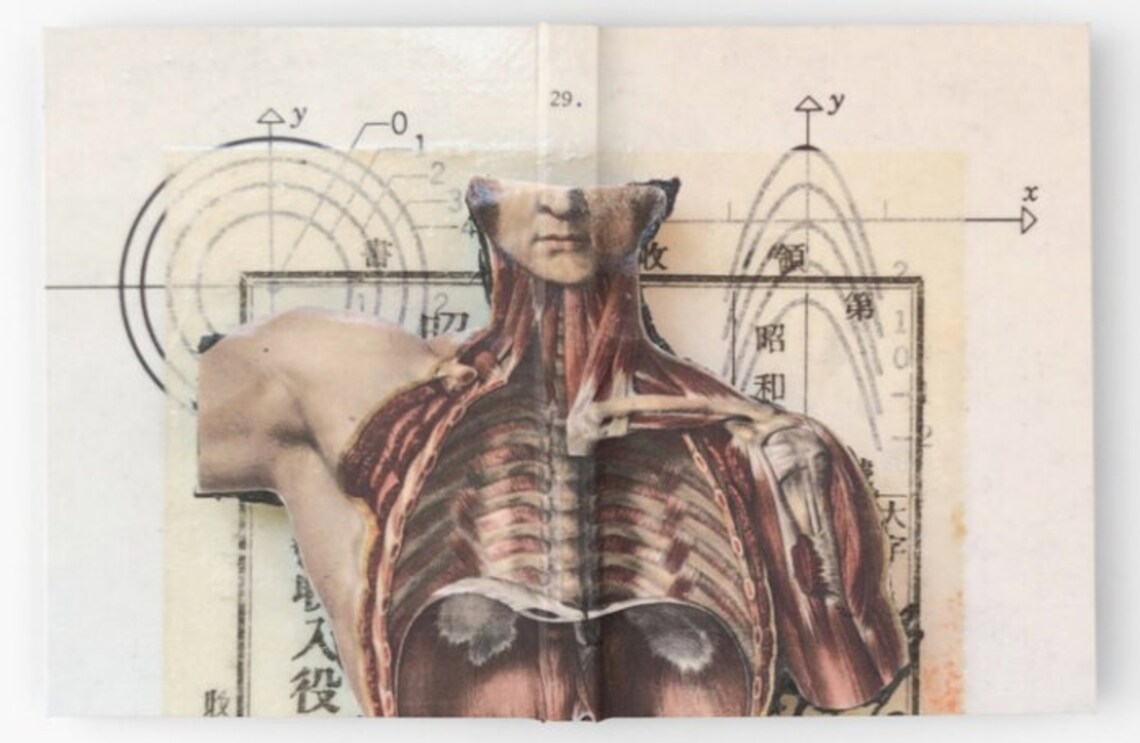 Vintage Anatomy Calculus Textbook Mathematics Art Hard - Etsy