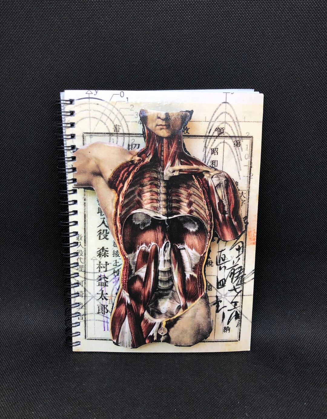 Human Anatomy Spiral Bound Notebook Line or Graph Journal Vintage ...