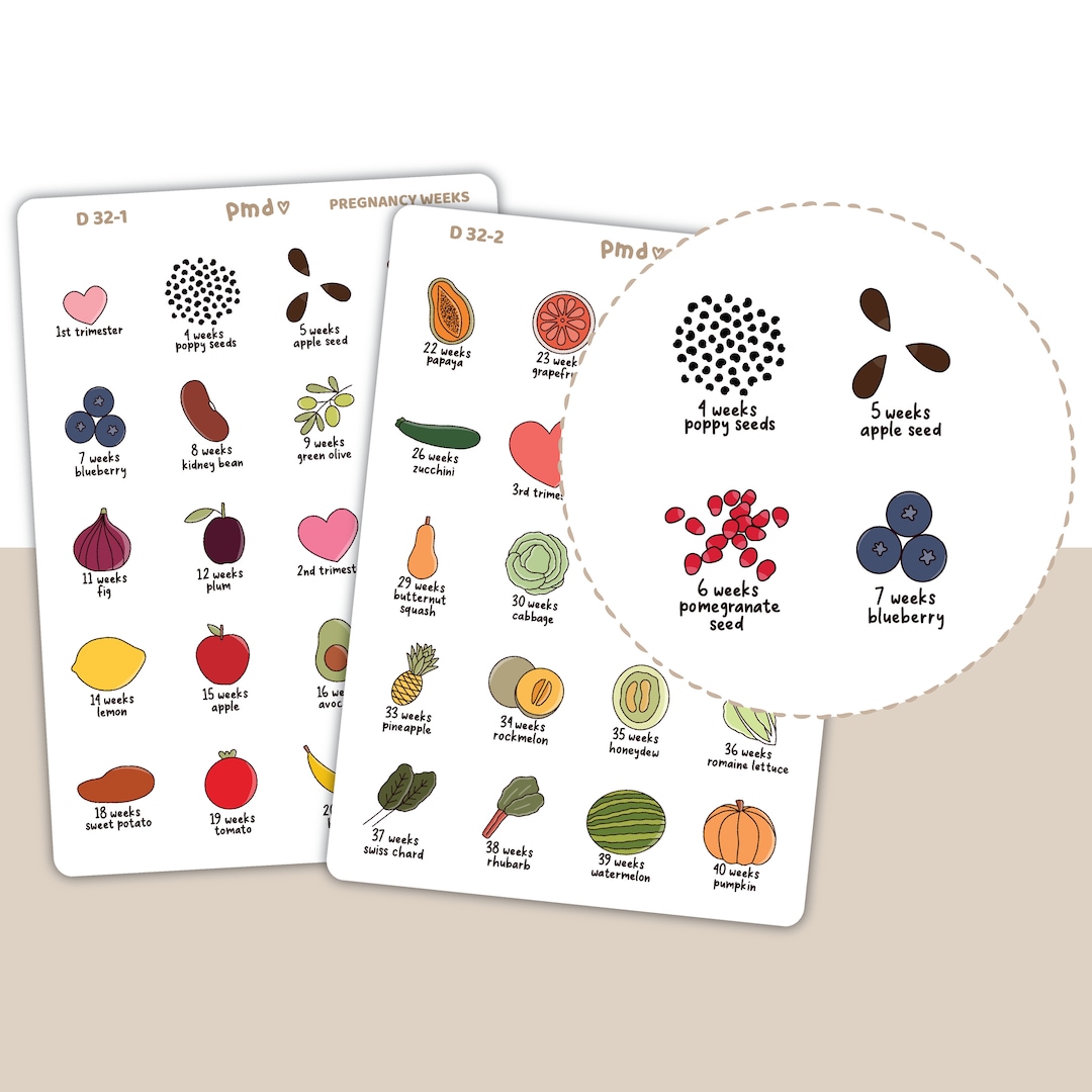 Pregnancy Weeks Stickers Planner Stickers D322 - Etsy
