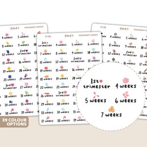 Pregnancy Weeks Stickers Planner Stickers FI36 - Etsy