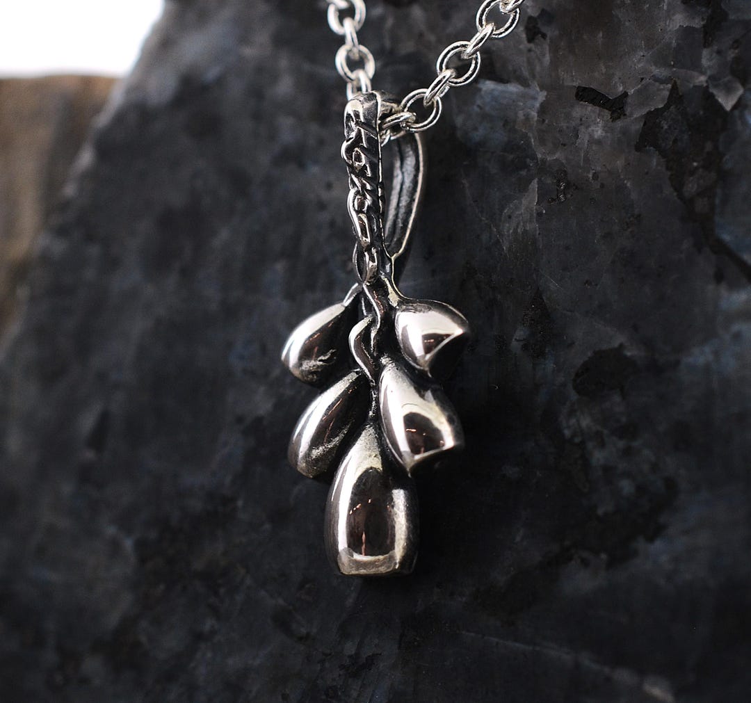 Timpsila "prairie Turnip" Pendant in Sterling Silver – Lakota Legacy ...
