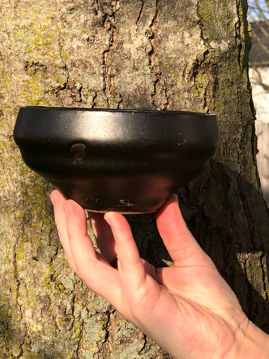 Black and White Monochromatic Bubble Bowl - Etsy