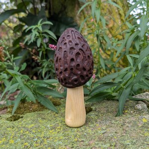 Morel Mushroom Smoking Pipe - Etsy