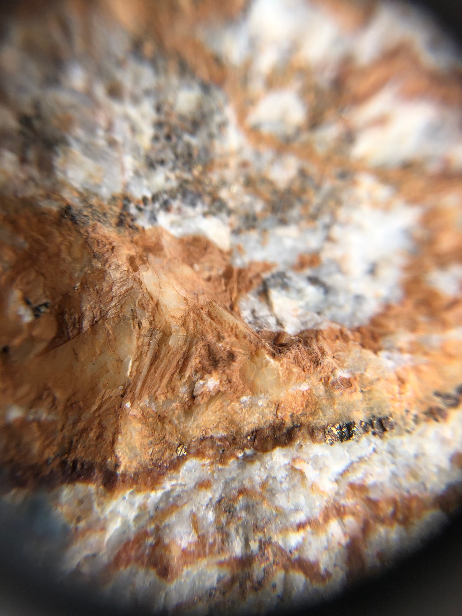 Montana Gold & Silver High Grade Ore Specimen 4lbs 6.25oz. - Etsy