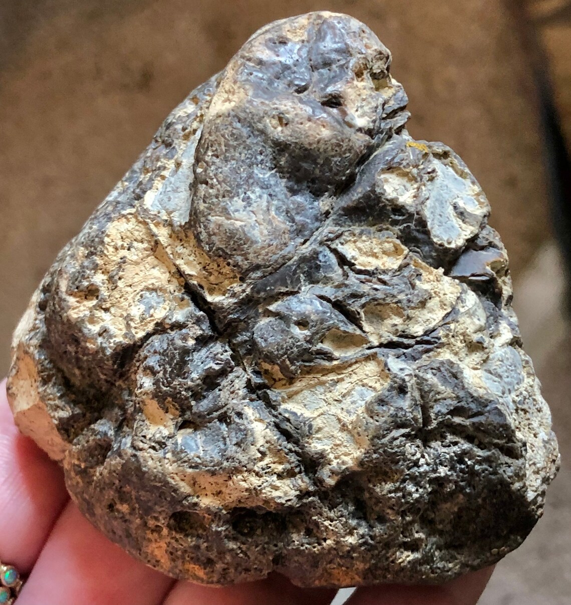 Eldorado Bar Impact Fusion Crusted Limestone Goethite Flyer Crystal ...