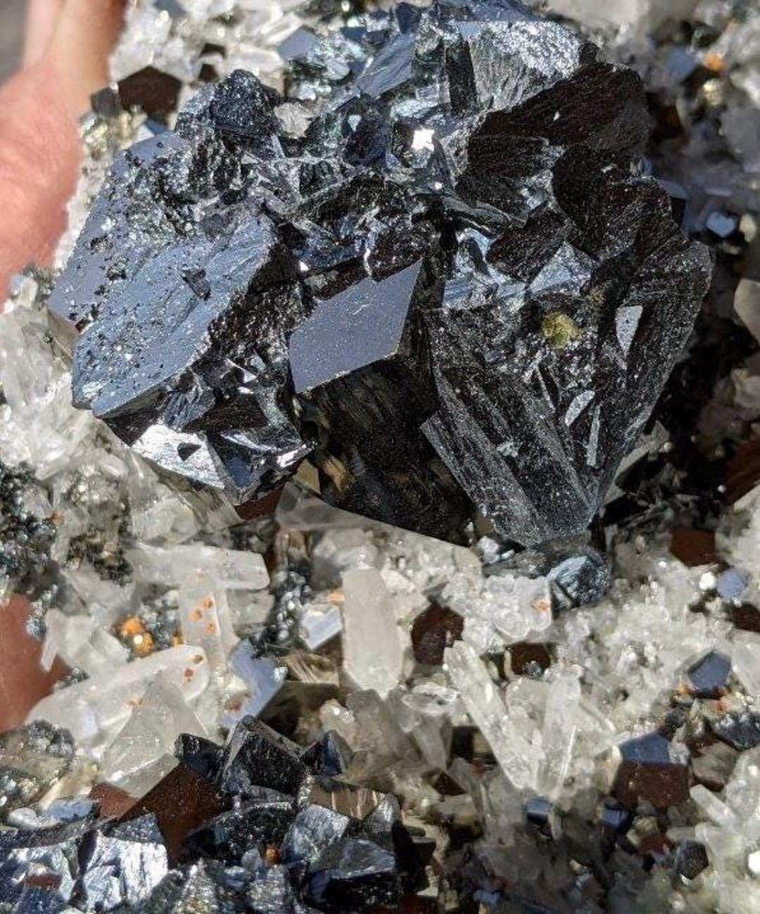 Lustrous Black Iron Pyrite & Pyrite With Clear Quartz Crystals in ...