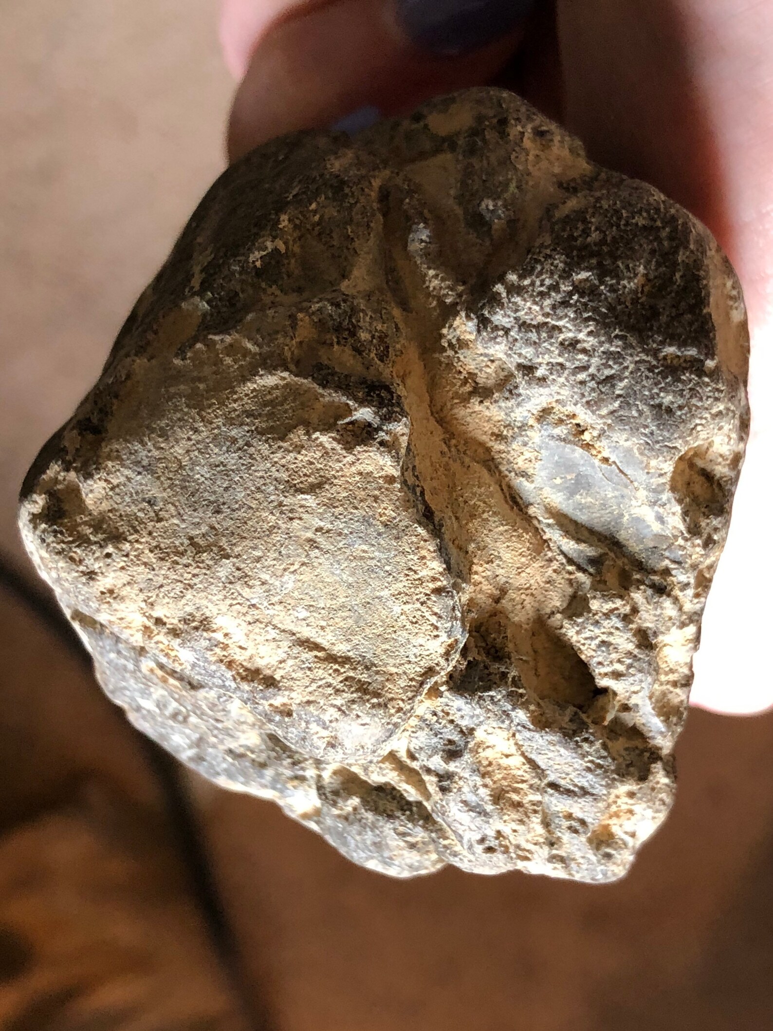 Eldorado Bar Impact Fusion Crusted Limestone Goethite Crystal - Etsy