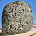 Montana Polymictic Breccia Tear Drop Shape Specimen - Etsy