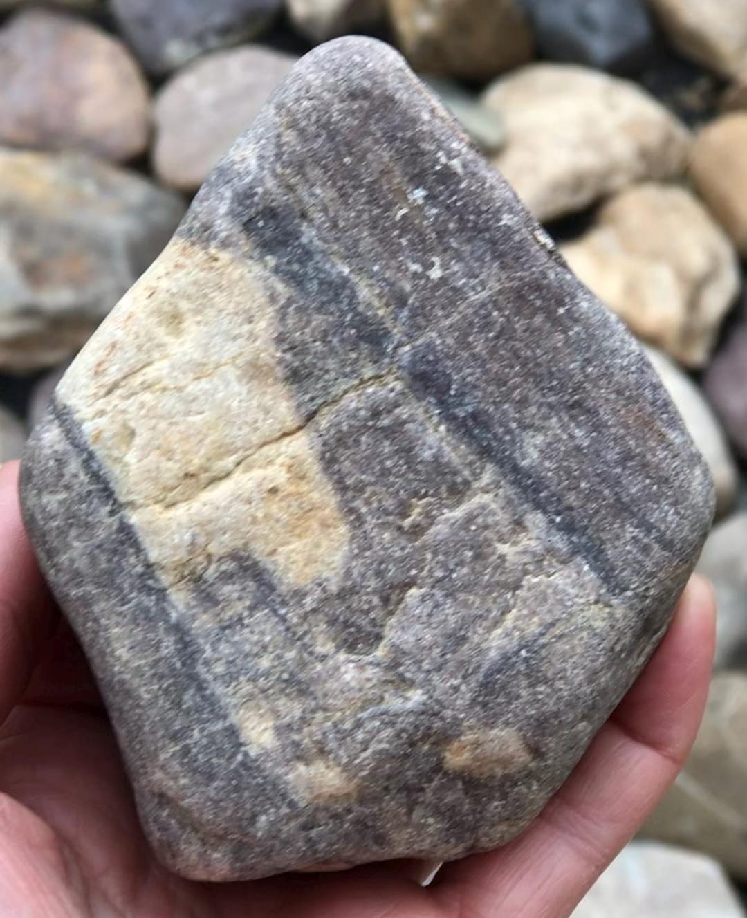 Montana Shocked Quartzite Impactite 5 Sided Crystal Shaped Flyer ...
