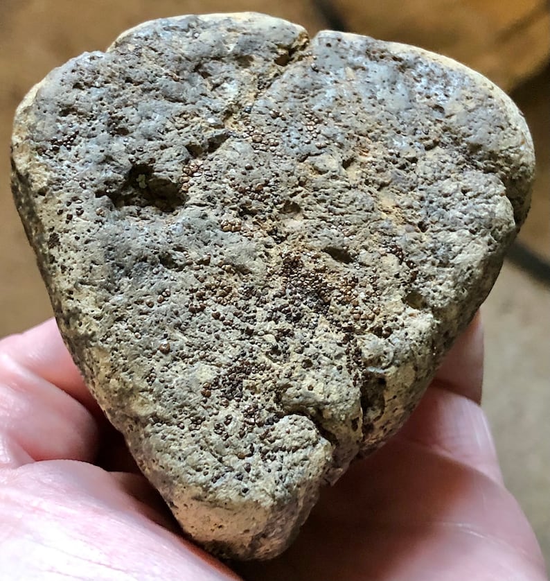 Eldorado Bar Impact Fusion Crusted Limestone Goethite Flyer Crystal ...