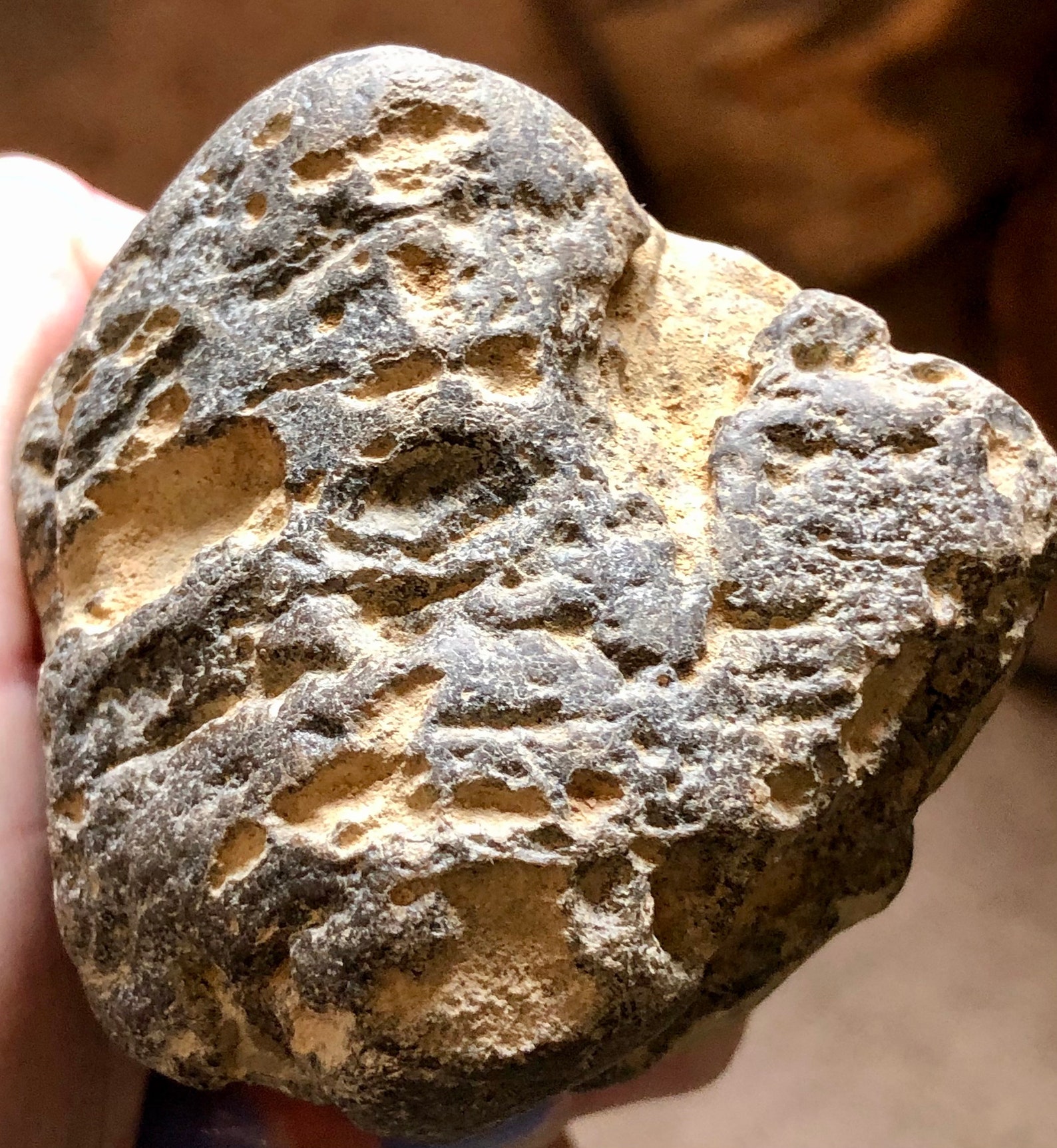 Eldorado Bar Impact Fusion Crusted Limestone Goethite Crystal - Etsy