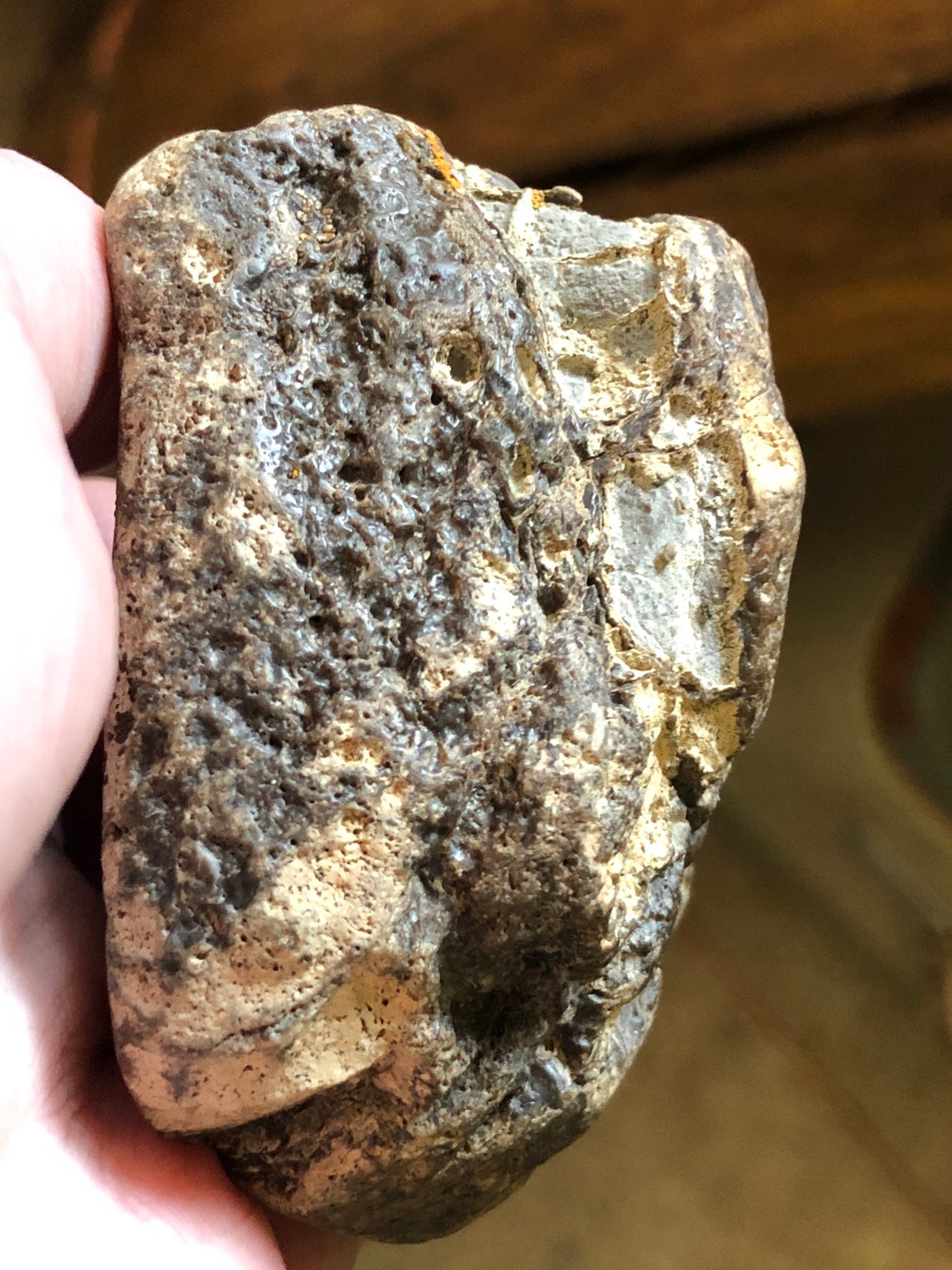 Eldorado Bar Impact Fusion Crusted Limestone Goethite Flyer Crystal ...