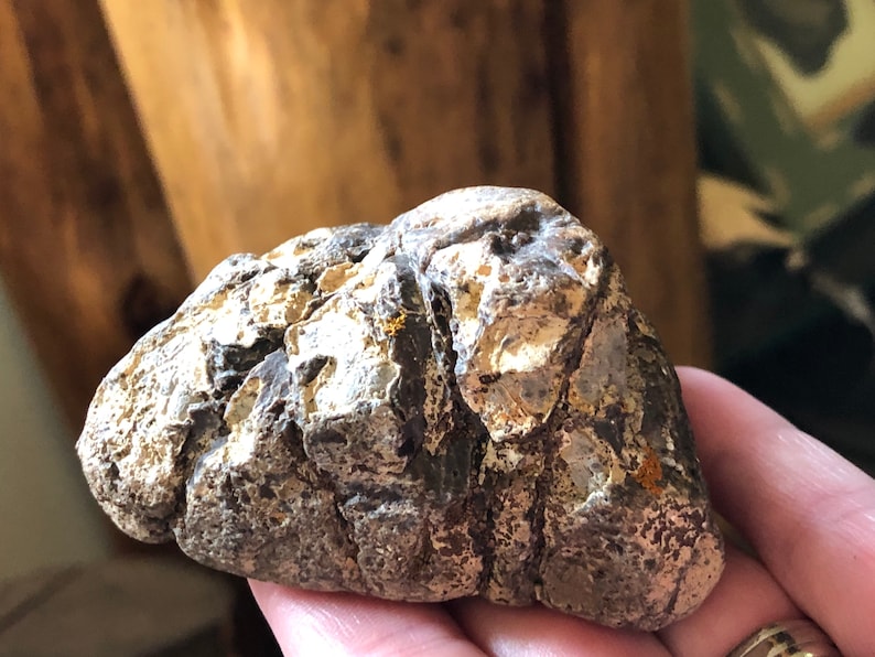 Eldorado Bar Impact Fusion Crusted Limestone Goethite Flyer Crystal ...