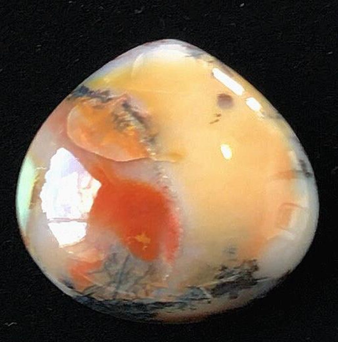 Native Dendrite Copper in Opalized Petrified Wood Cabochon - Etsy