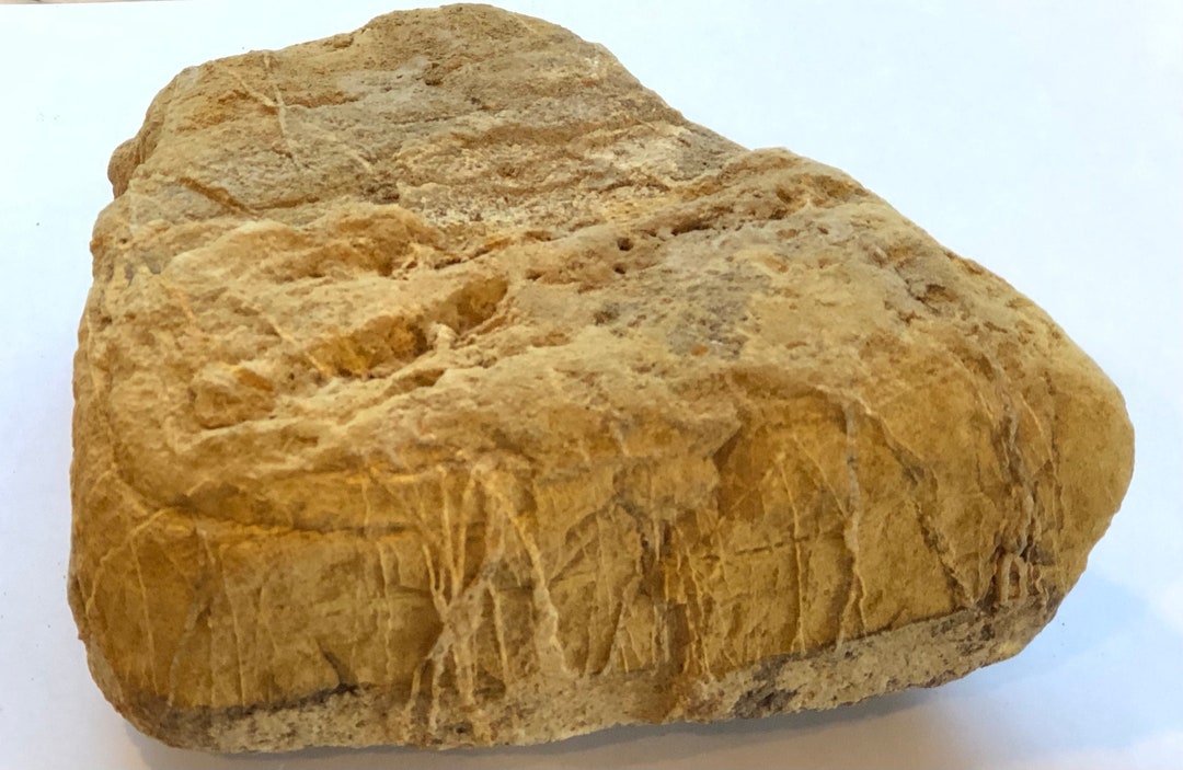 Montana Limonite Pseudo Morphed 5 Sided Crystal Specimen/impactite From ...