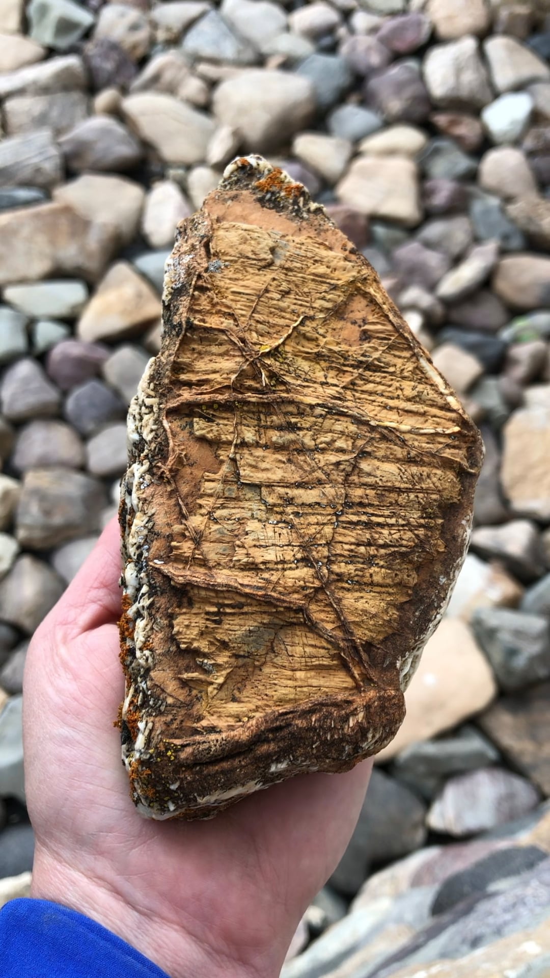 Montana Limonite Pseudo Morphed 5 Sided Crystal Specimen/impactite From ...