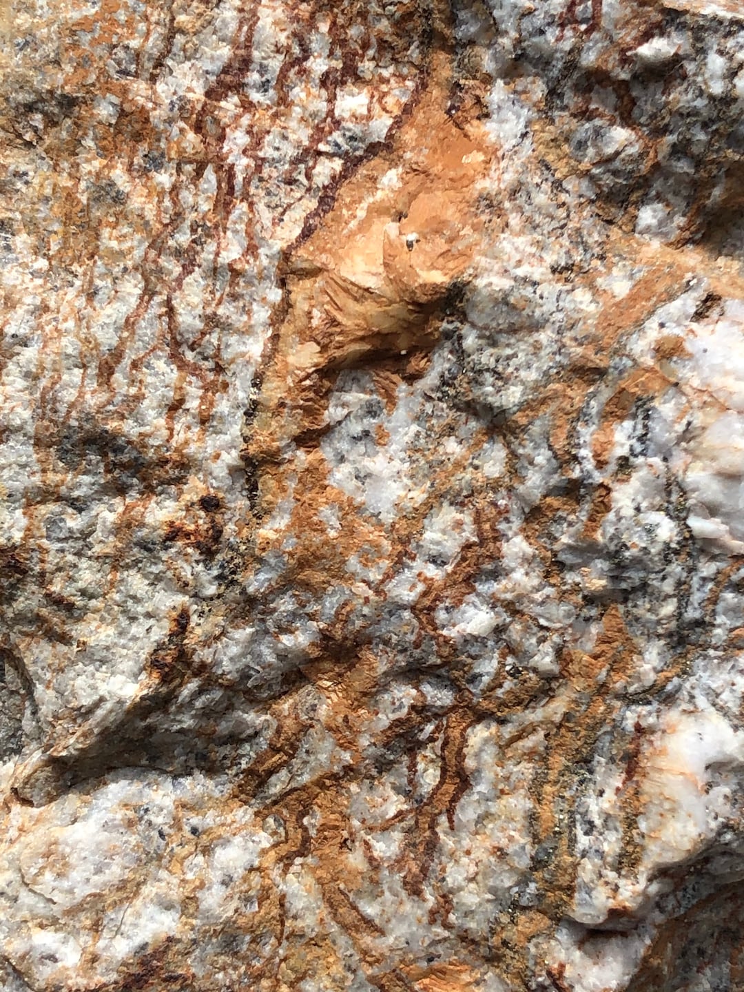 Montana Gold & Silver High Grade Ore Specimen 4lbs 6.25oz. - Etsy