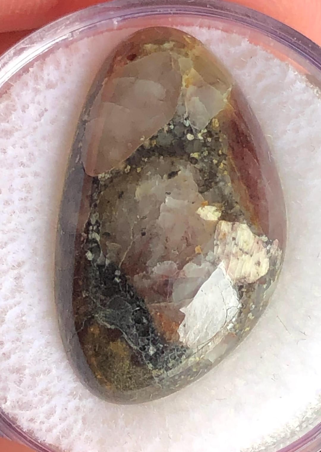 Montana Pudding Stone From the Blazengems Mine/cabochon Crafted by ...