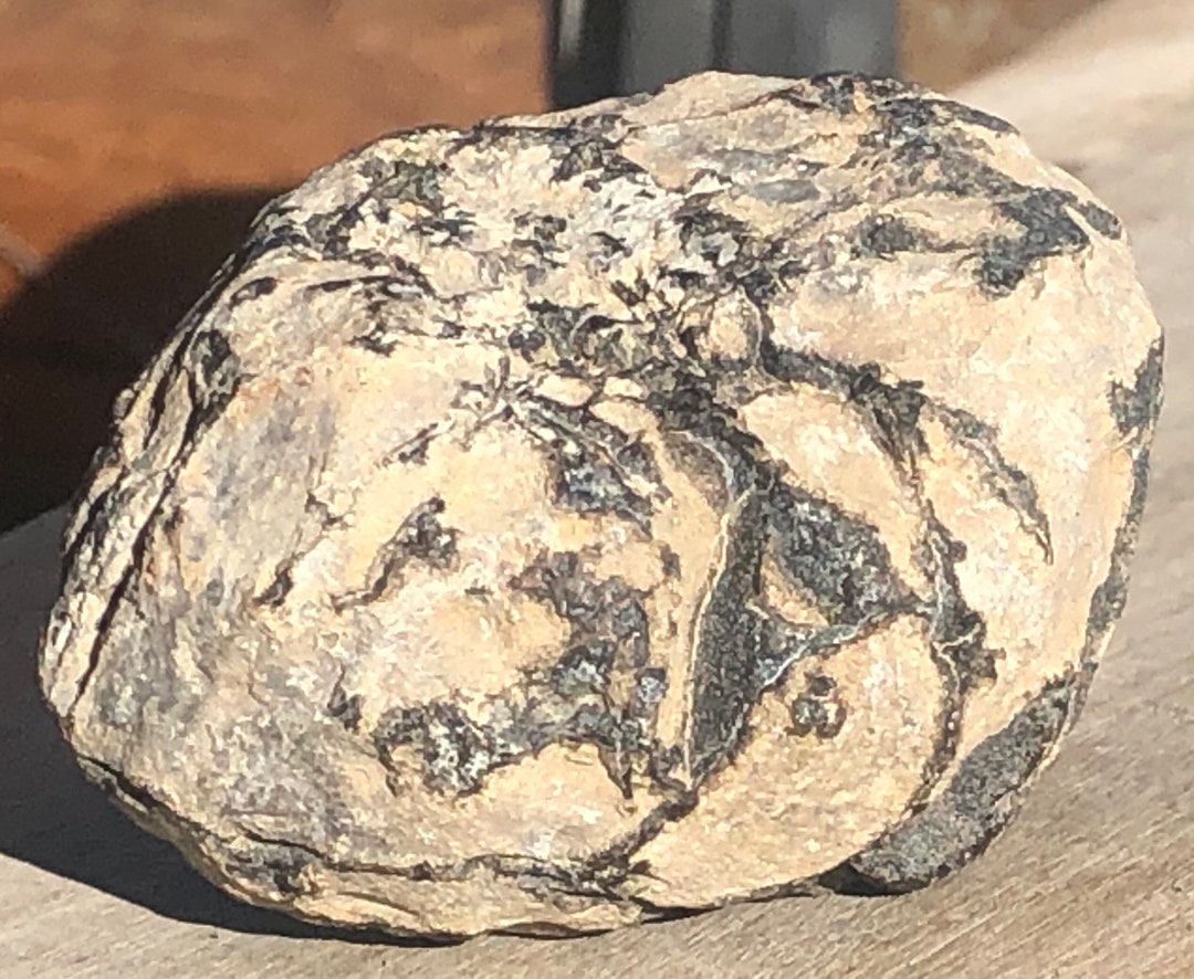 Fusion Crusted Limestone Specimen/ejecta Melt Impactite - Etsy