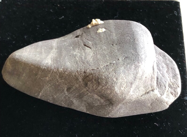 Eldorado Bar Shocked Quartzite Impactite Flyer Crystal - Etsy