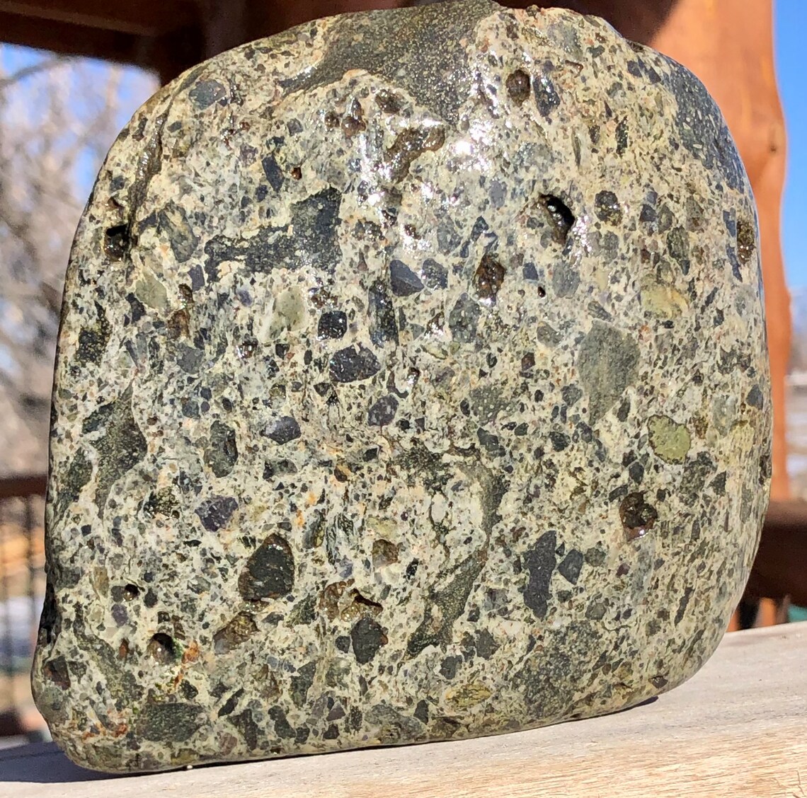 Montana Polymictic Breccia Tear Drop Shape Specimen - Etsy