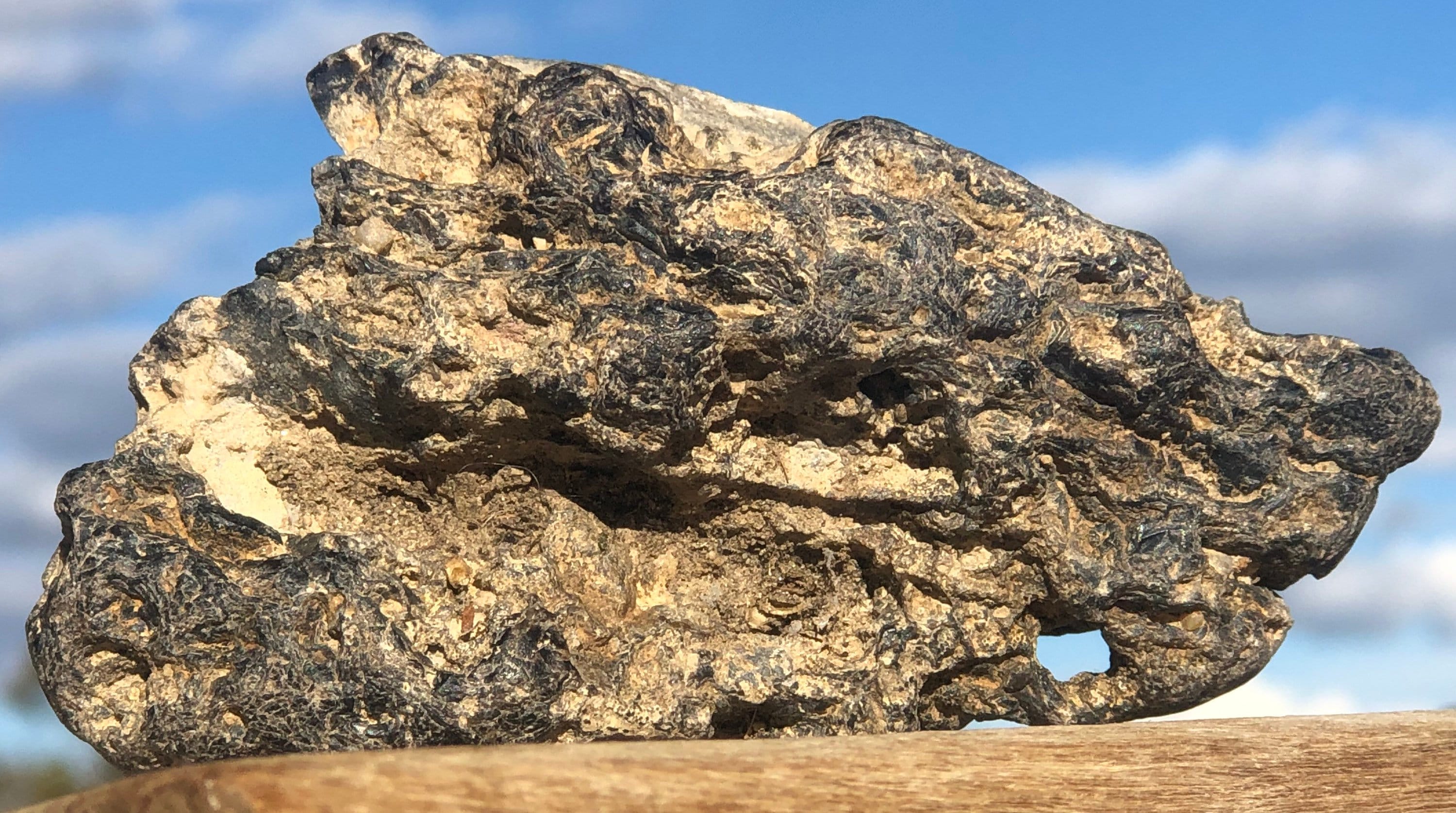 Fusion Crusted Limestone Specimen/ejecta Melt Impactite - Etsy