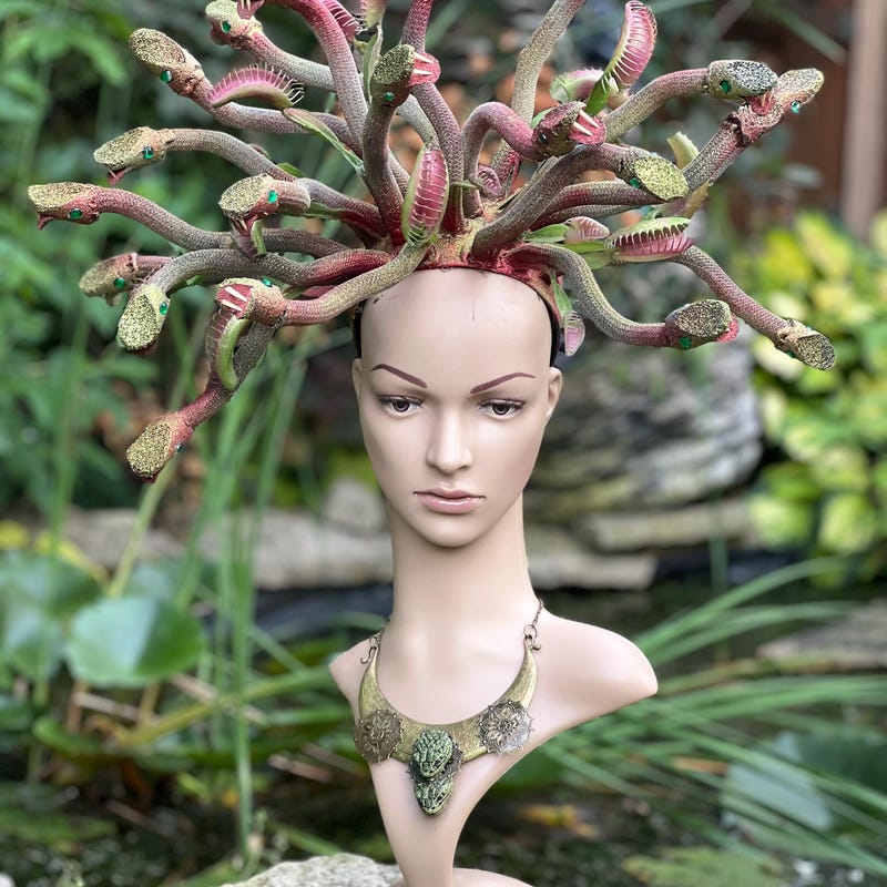 Venus Flytrap Costume - Etsy