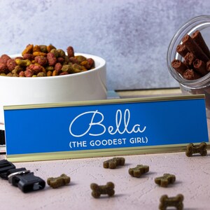 Custom Name Desk Plate | Personalized Name Plate | Choose Your Font and ...