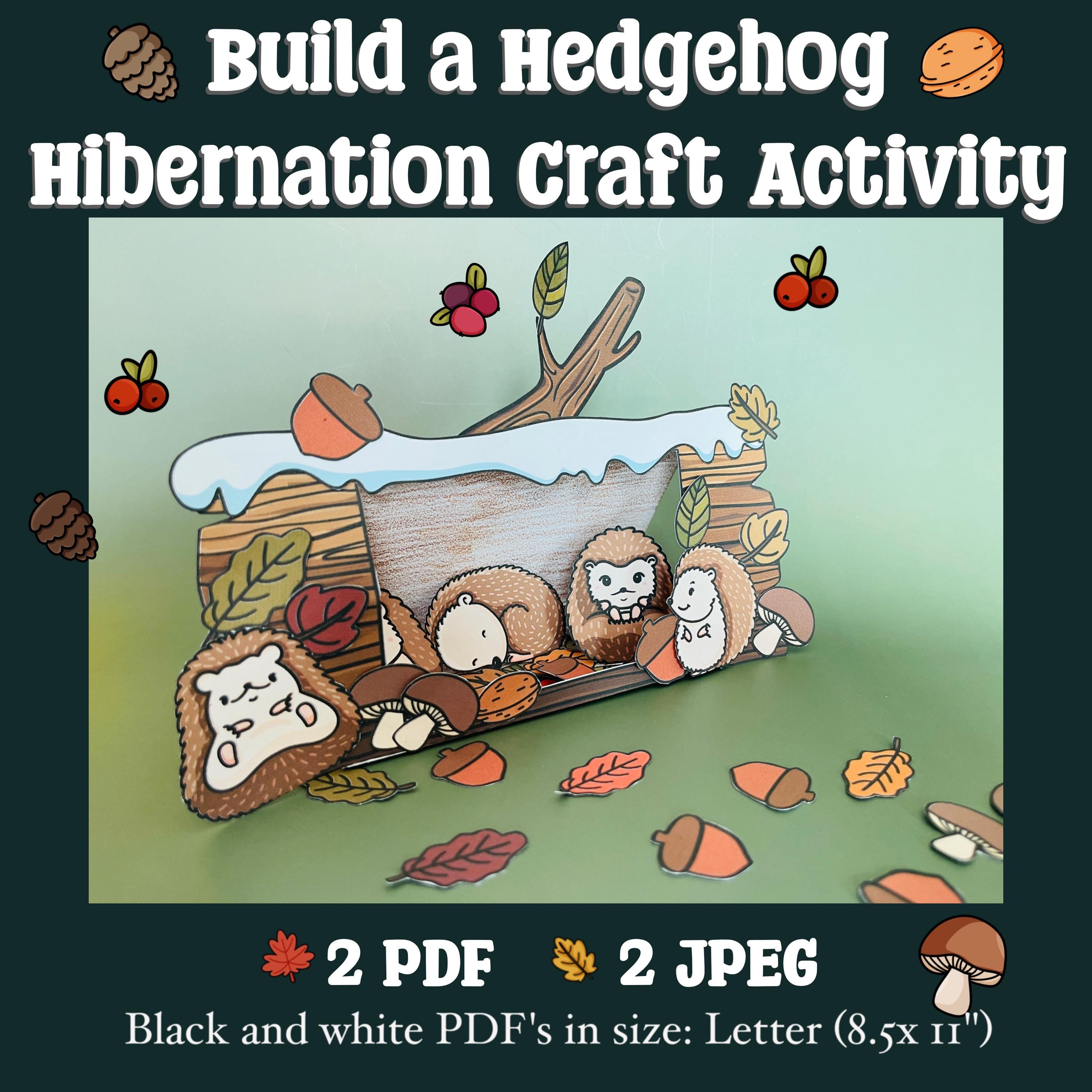 DIY Hedgehog Hibernation Diorama Woodland Animal Craft for Kids ...