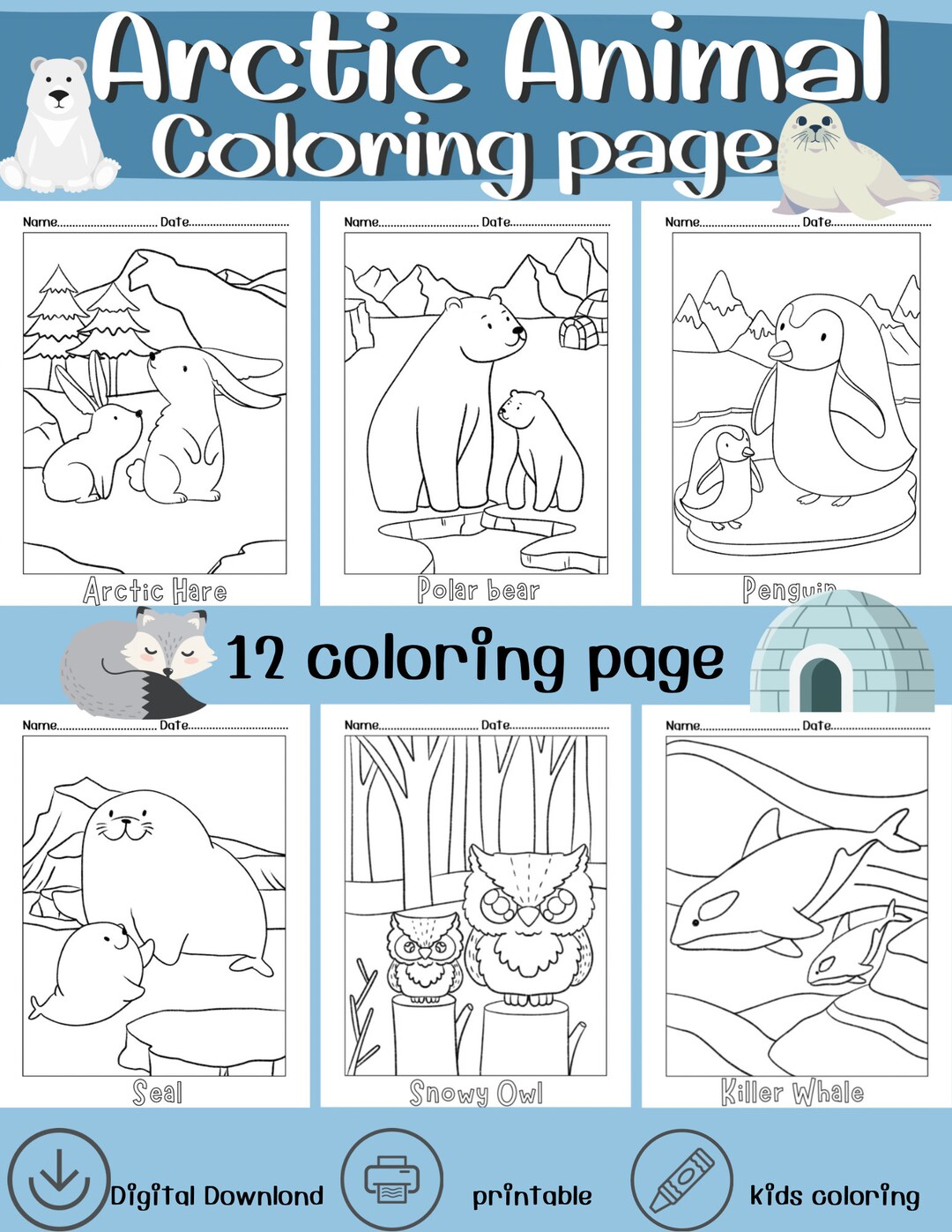 Arctic Animals Coloring Page | Winter Animals - Etsy