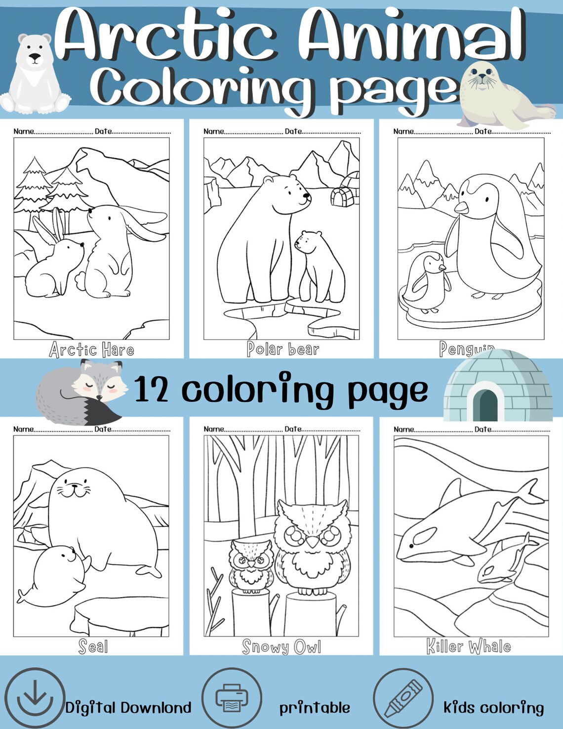 Arctic Animals Coloring Page | Winter Animals - Etsy
