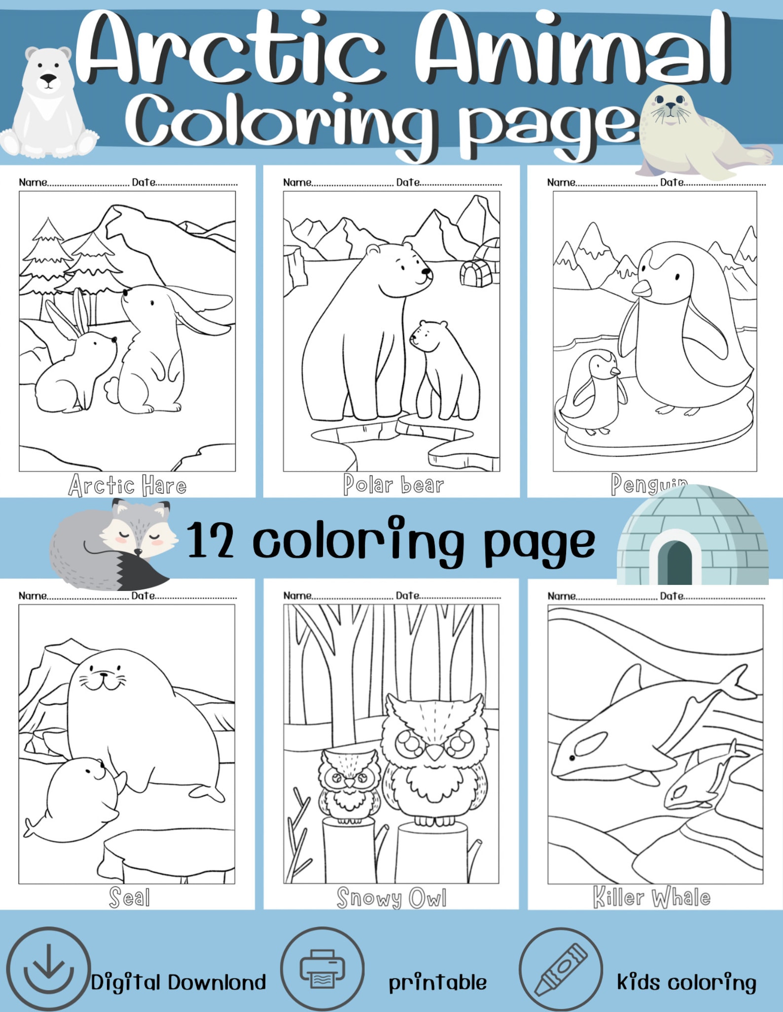 Arctic Animals Coloring Page | Winter Animals - Etsy