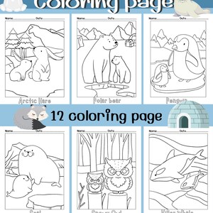 Arctic Animals Coloring Page | Winter Animals - Etsy