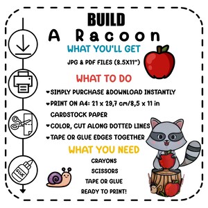 Raccoon Paper Craft Woodland Animals Craft Children's Craft Activity ...