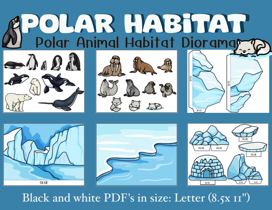 DIY Polar Habitat Arctic Animals Diorama Craft Arctic Scene Printable ...