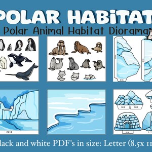 DIY Polar Habitat Arctic Animals Diorama Craft Arctic Scene Printable ...