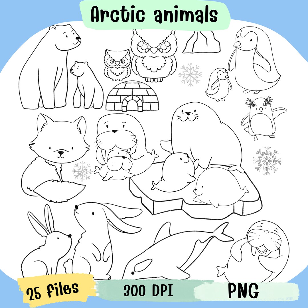Arctic Animals Clipart| Winter Animals - Etsy