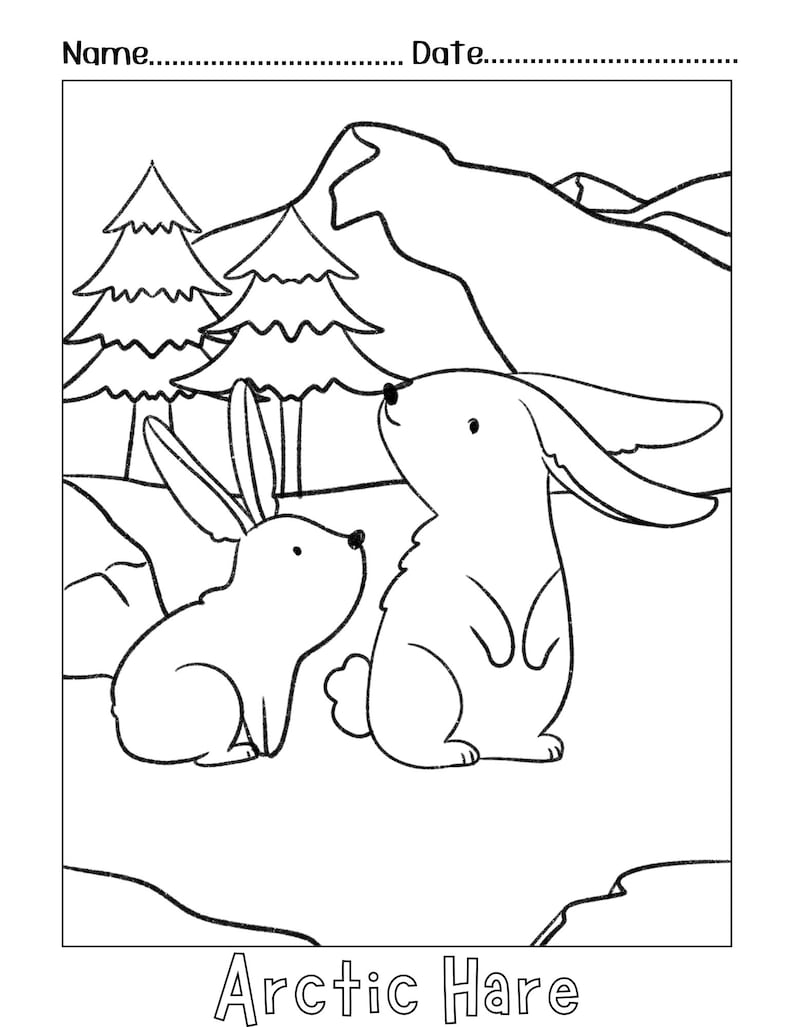 Arctic Animals Coloring Page | Winter Animals - Etsy