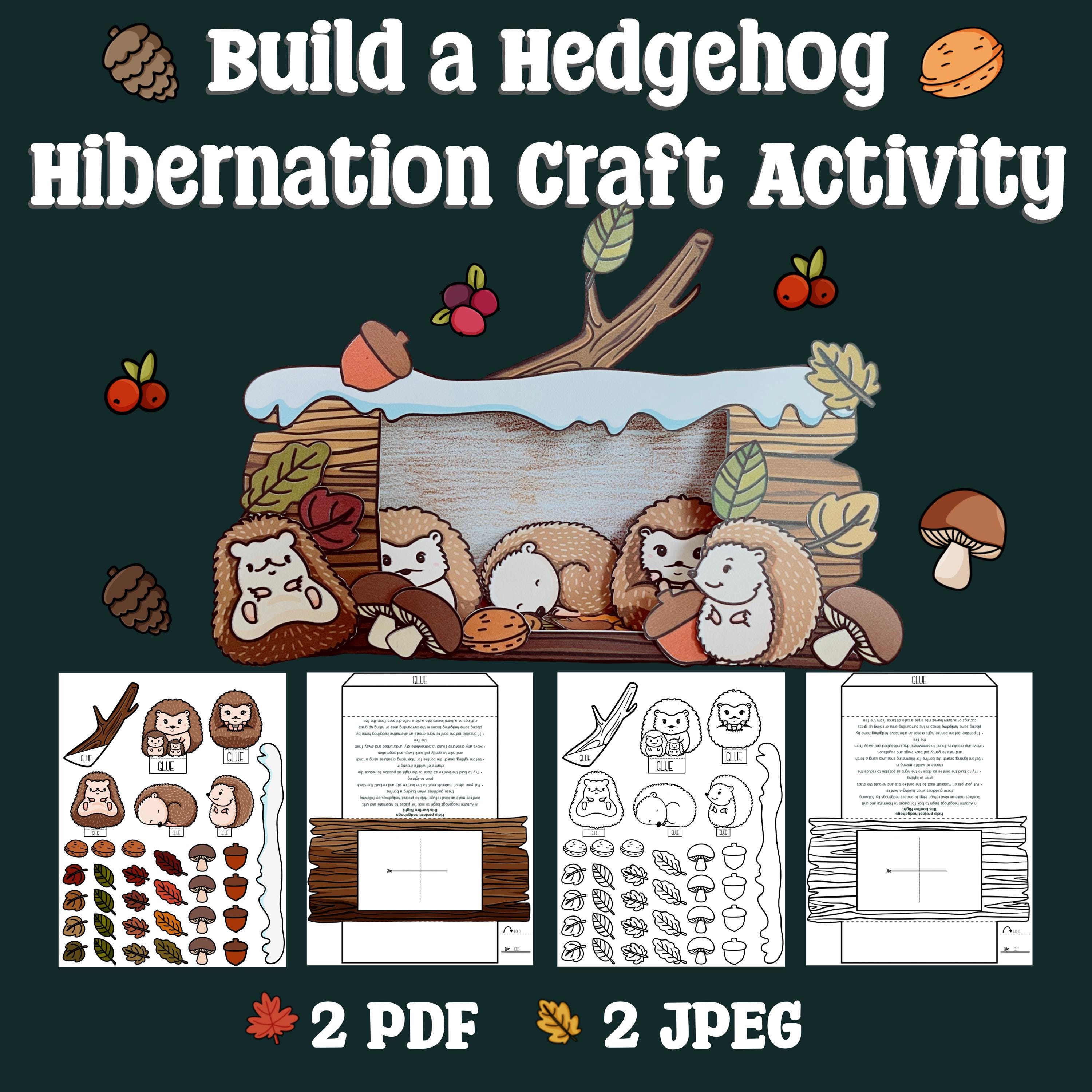 DIY Hedgehog Hibernation Diorama Woodland Animal Craft for Kids ...