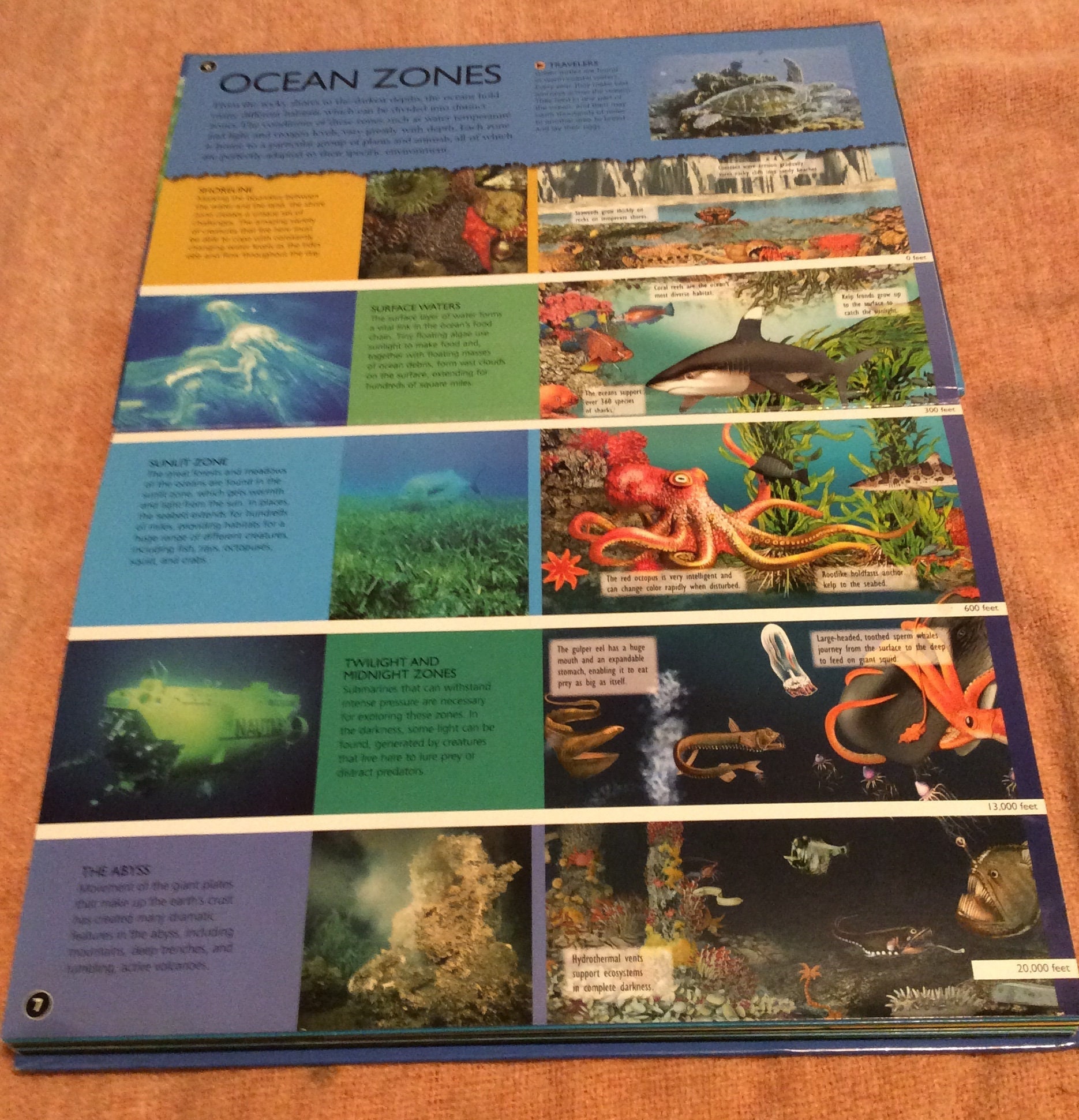 3-D Explorer Oceans: A Journey From the Surface to the Sea Floor - Etsy