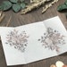Fall Vellum Jacket With Rust Colored Leaves, Autumn Florals, Vellum ...